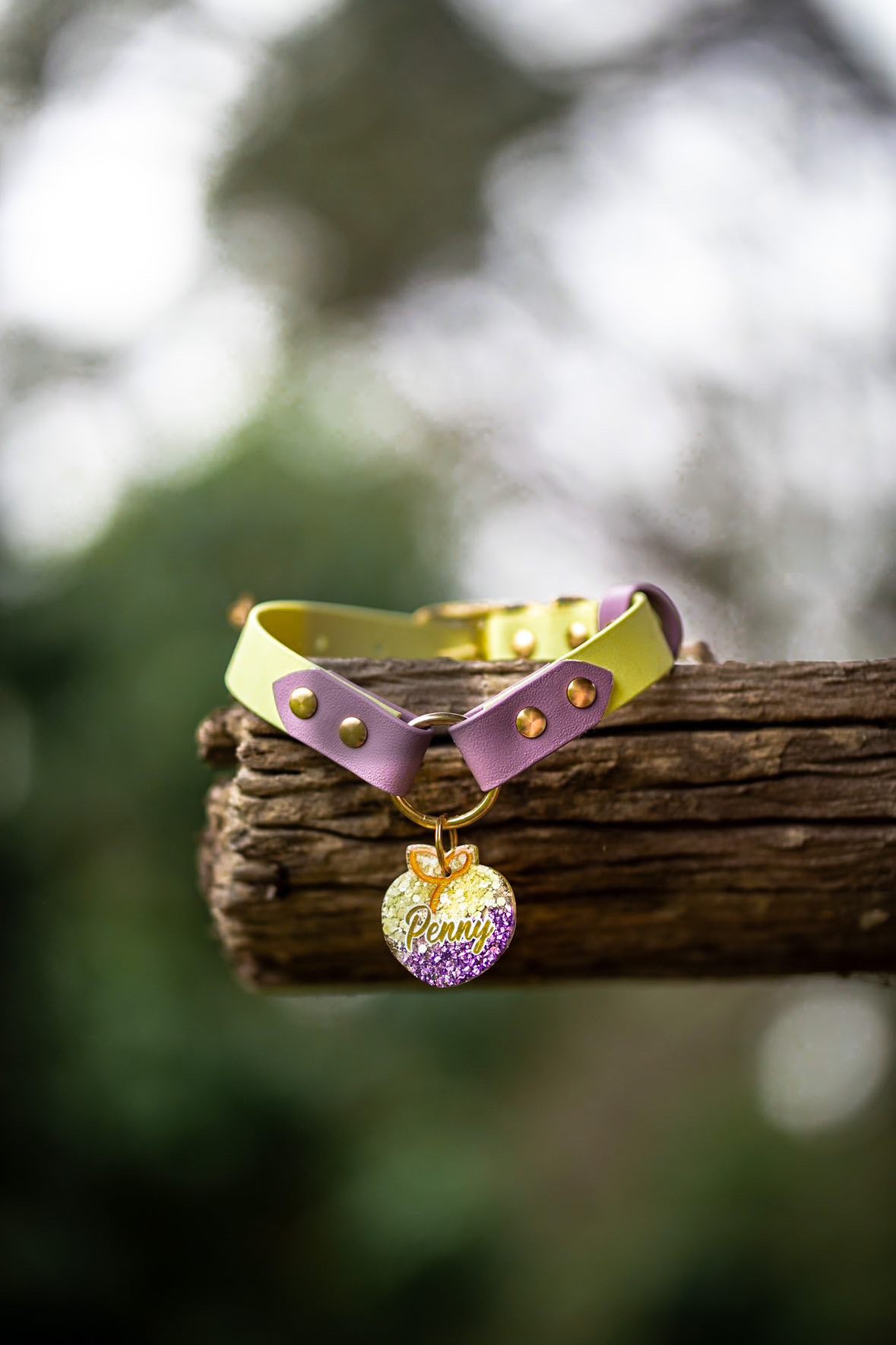 25mm Wide Collar and Surprise Tag Set – Walkabout Tails handcrafted pet ...