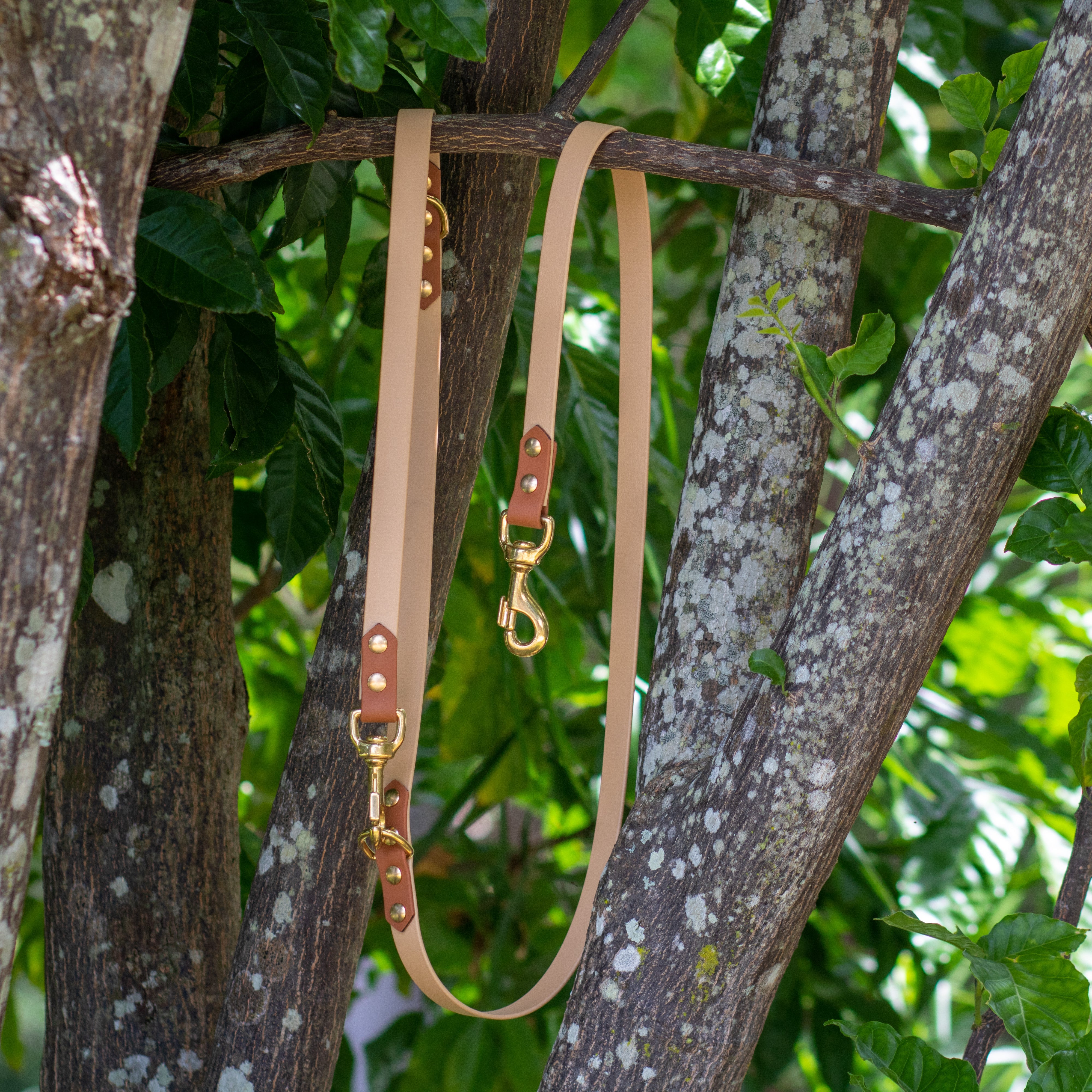 Handsfree Lead - two tone and one colour – Walkabout Tails handcrafted ...